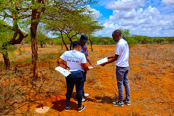Fedha Land Ventures